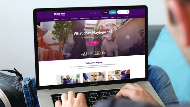 Mayhew | Web Development | Adaptable